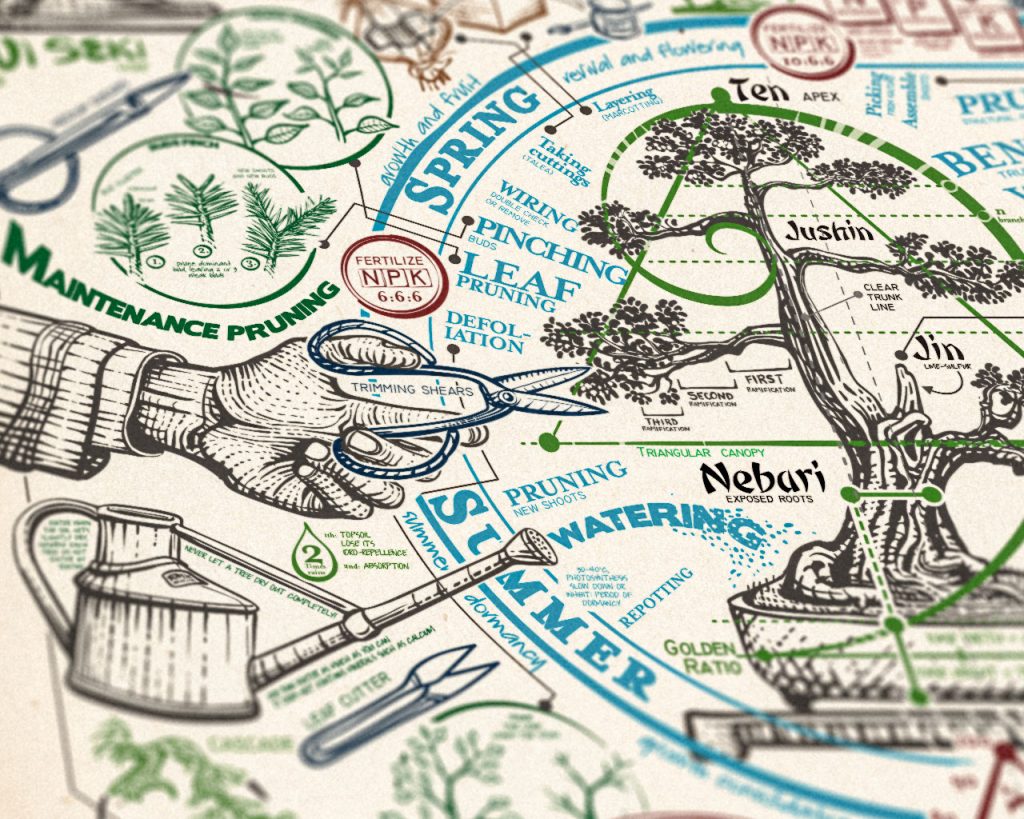 Poster Bonsai - Learn with a Poster